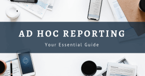A complete guide to Ad Hoc reporting with best practices and examples ...